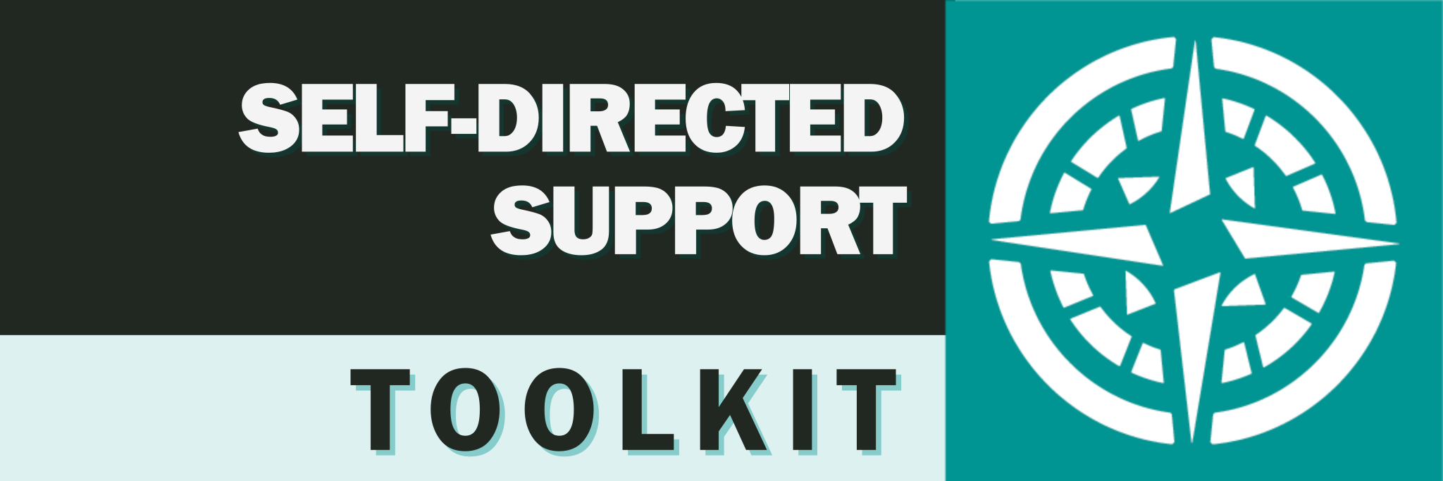 Self-Directed Support - RIPIN